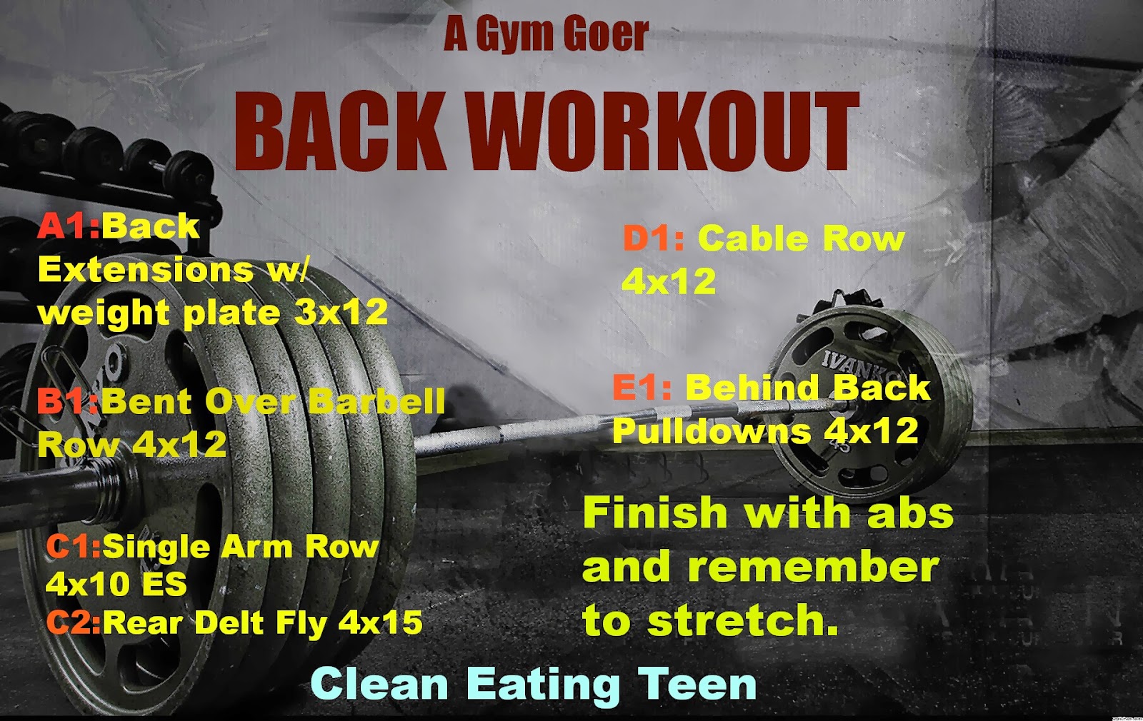 Food and Iron: Gym Membership+ A Gym Goer Back Workout