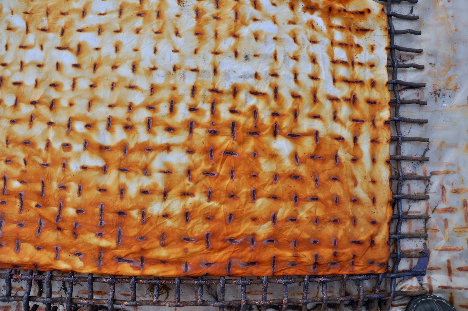 LuAnn Kessi: Rust Dyeing…..