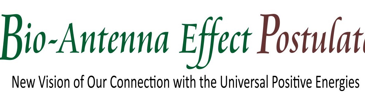 MOVING ENERGIES / MOVIENDO ENERGÍAS Patricia Gaviria : About Bio ...