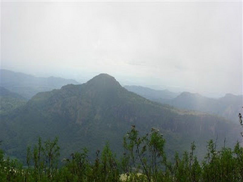Sri Lanka - Nature: Pitawala Pathana