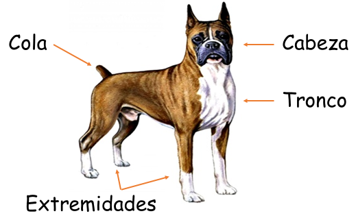 Luz Marina Quintero Moncada: CLASE 2. LA NATURALEZA Y YO. ¿CÓMO ESTÁN ...