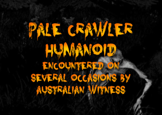 A Queensland, Australia woman relates her many sightings and encounters ...