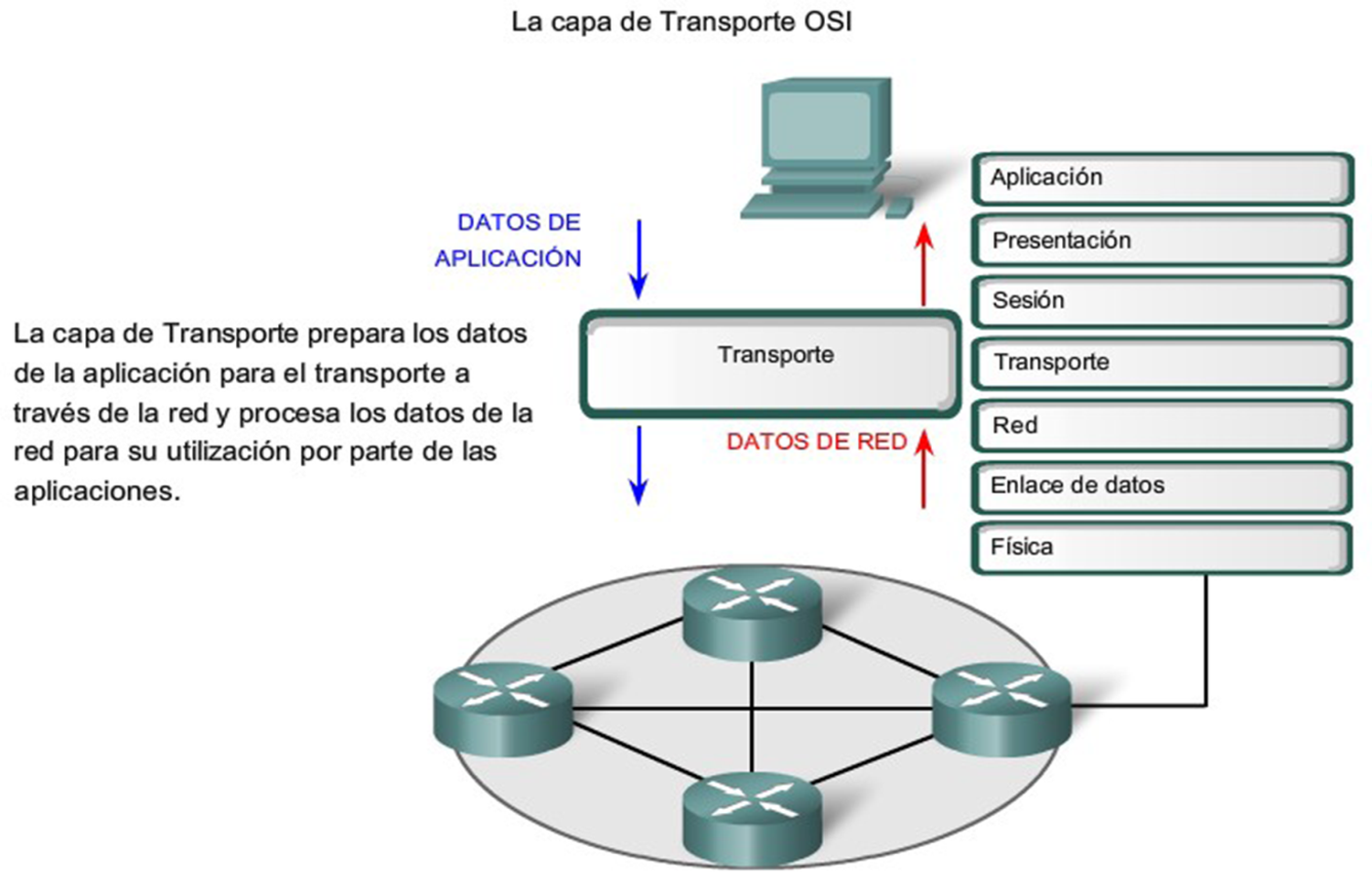 Capa de Red y Transporte: enero 2017