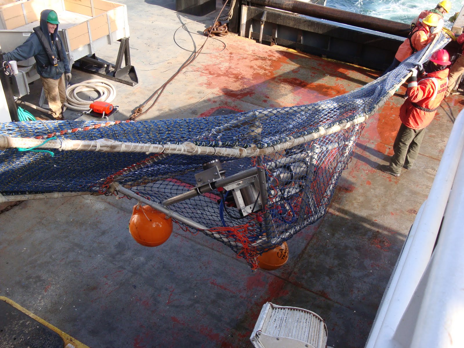 Tammy Orilio's Teacher at Sea Adventure!: Trawl Gear