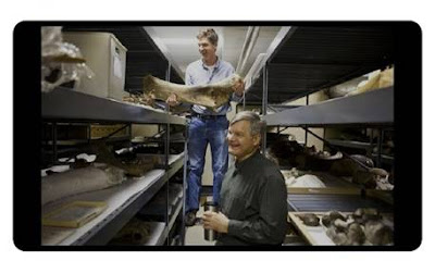 Asociación Latinoamericana de Paleobotánica y Palinología ...