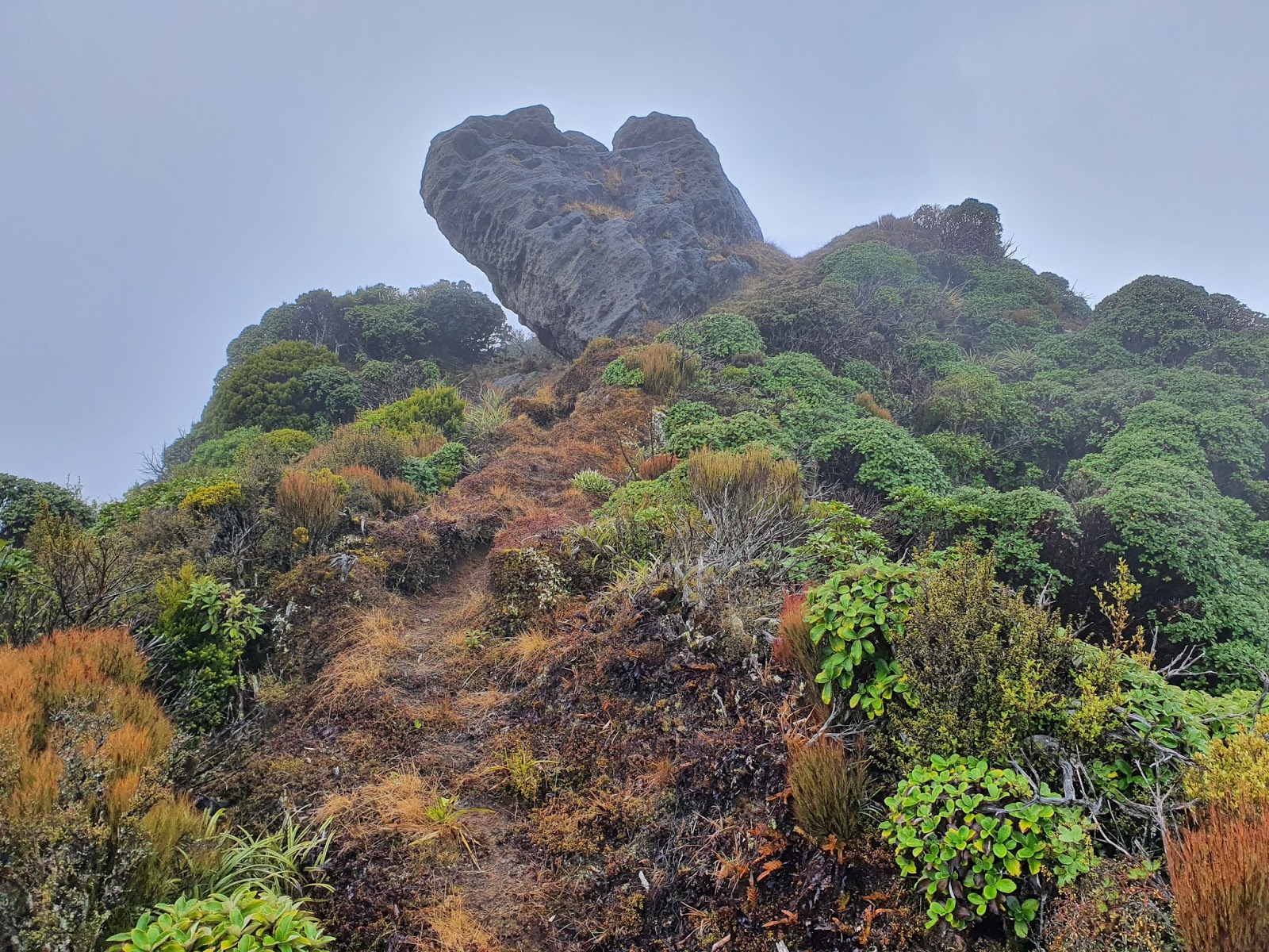 Biking and tramping trip blogs: Ruahine Corner and a tragic end to a ...