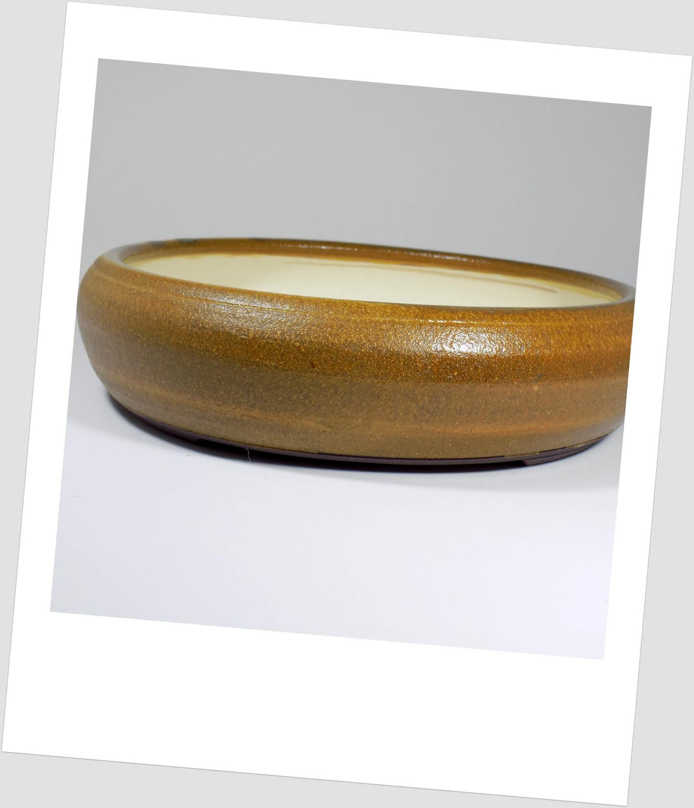 Fionna's Bonsai Pots, Kiwi Made, In New Zealand