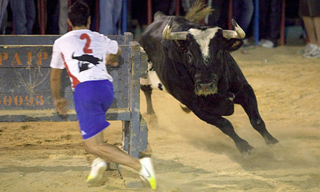 Health, Love and Entertainment: The Most Prolific Killer Bull