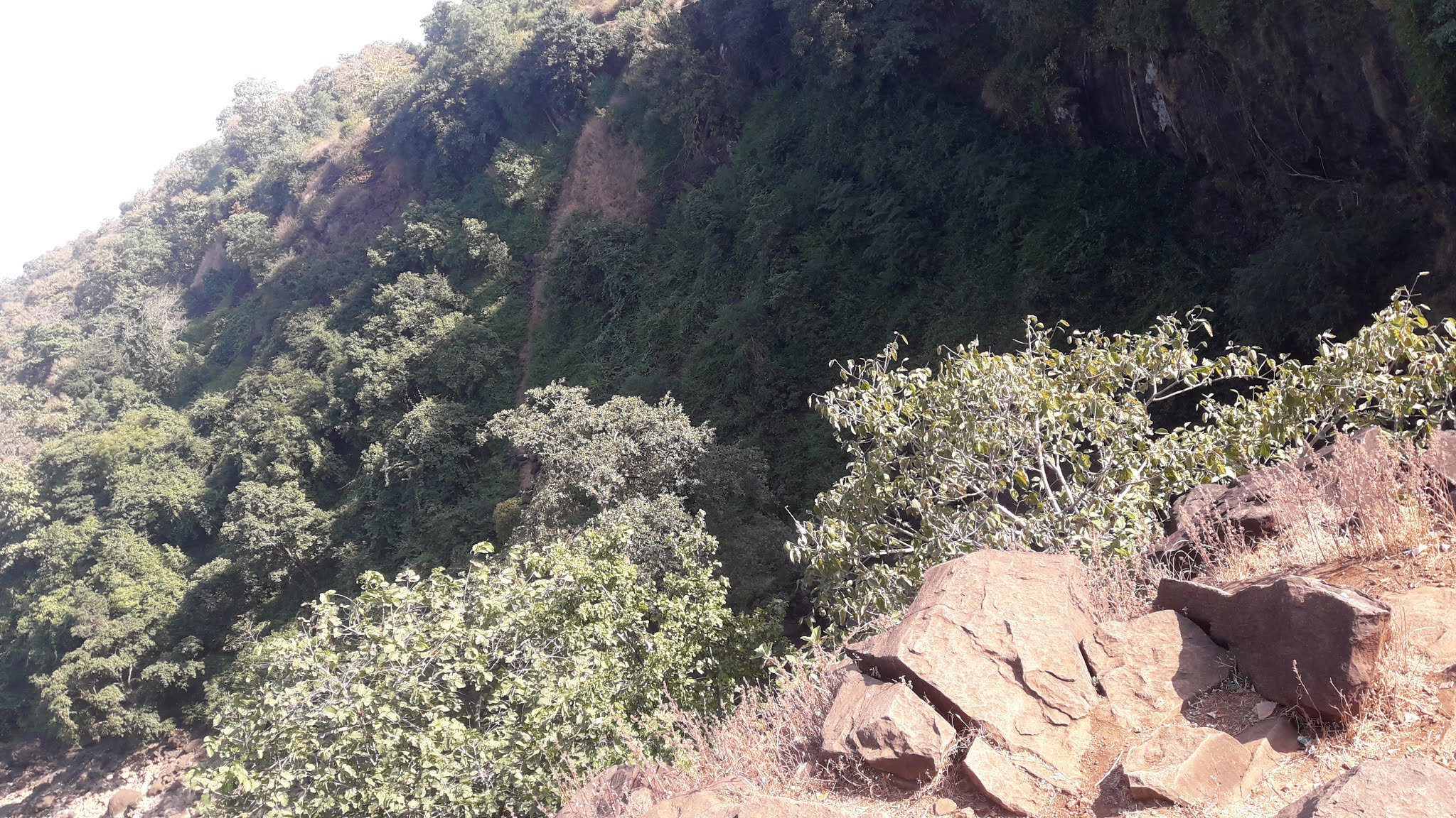 Kukdi Khapa WaterFall Chhindwara Madhya Pradesh
