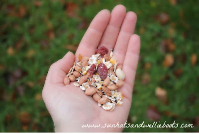 Sun Hats & Wellie Boots: Simple Eco-friendly Reindeer Food for Kids to Make