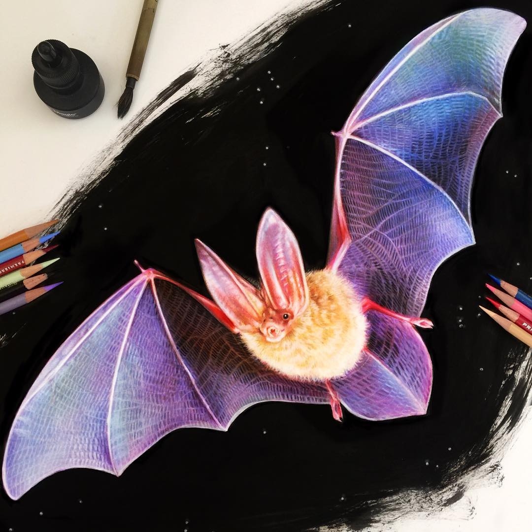 Design Stack: A Blog about Art, Design and Architecture: Eclectic ...