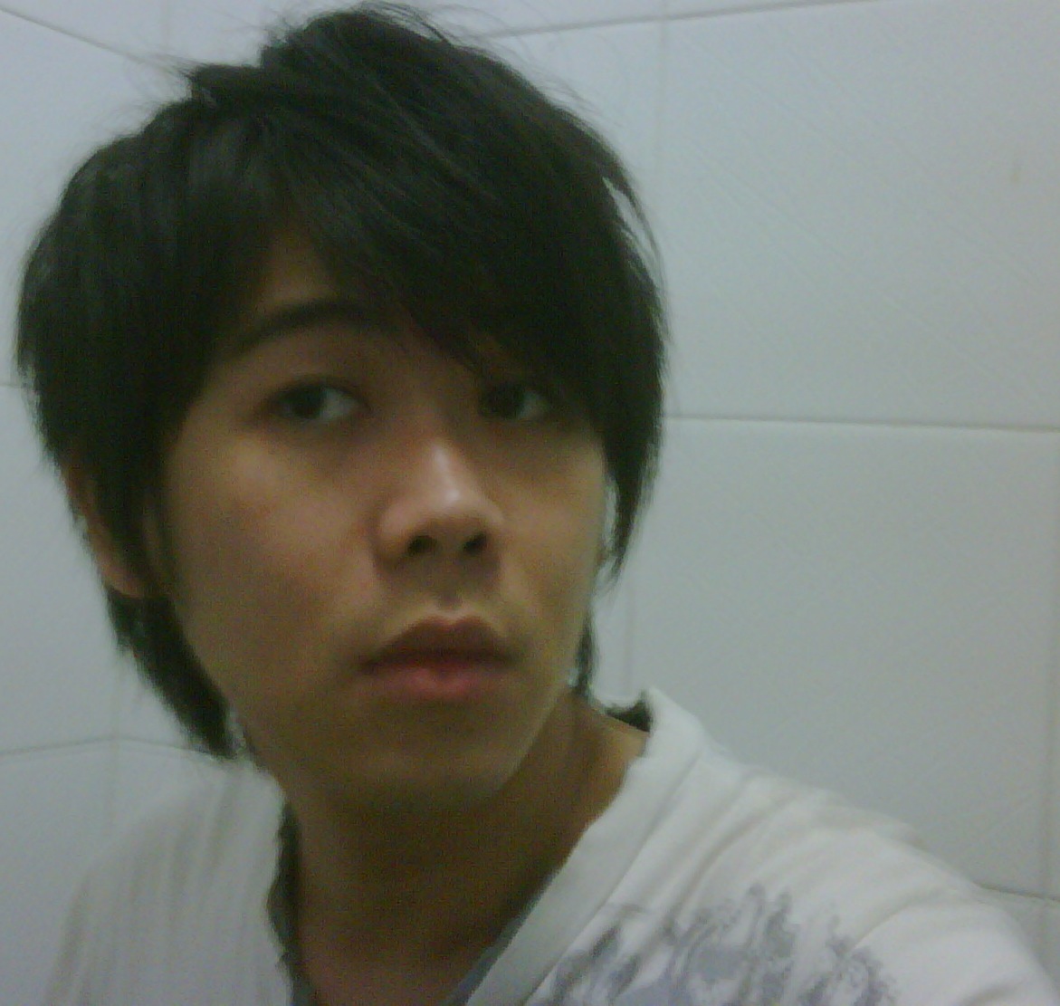WO MEN XI HUAN HAN YU: Chinese Project Report
