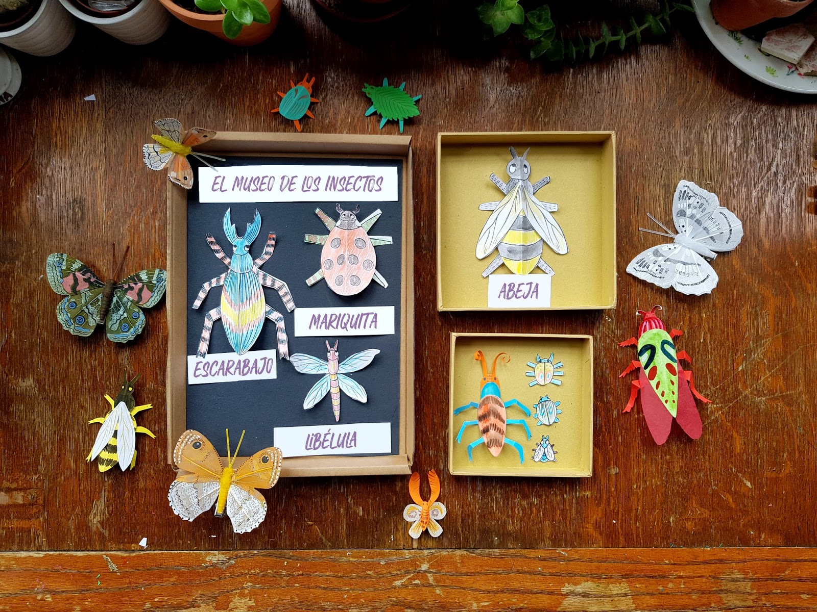 CREA TU PROPIA COLECCIÓN DE INSECTOS. CREA TU PROPIA COLECCIÓN DE INSECTOS.