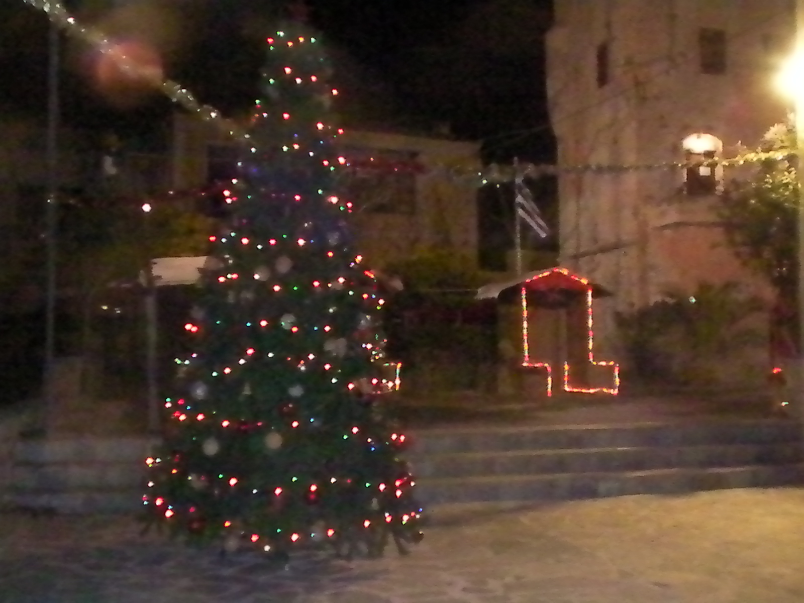 aiakosrex: ΤΟ ΧΡΙΣΤΟΥΓΕΝΝΙΑΤΙΚΟ ΔΕΝΤΡΟ ΤΗΣ ΔΗΜΟΤΙΚΗΣ ΚΟΙΝΟΤΗΤΑΣ ΑΙΓΙΝΑΣ