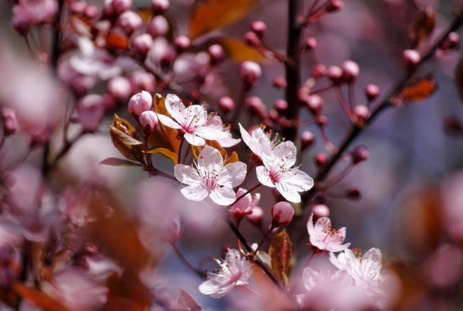 The Wonderful Photo: 11 Free Stock Photography Websites and Free Stock ...