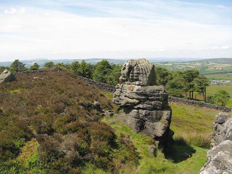 Teddy Tour Teas: Addingham High Moor