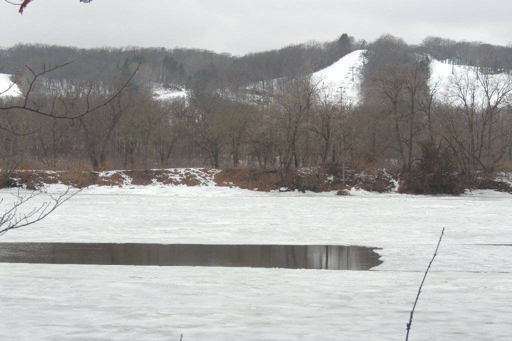 River Road Ramblings: A Drop of Sap Dripped