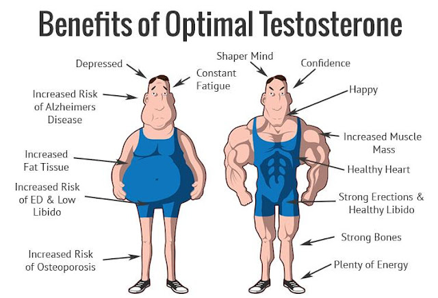 Do You know That " How Hormones Control Our Life ? " | Fact of Fats