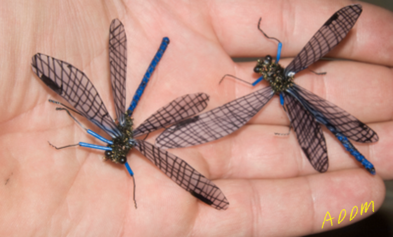 MONTAJES DE MOSCAS PASO A PASO DE PICOFLY: Caballito del Diablo