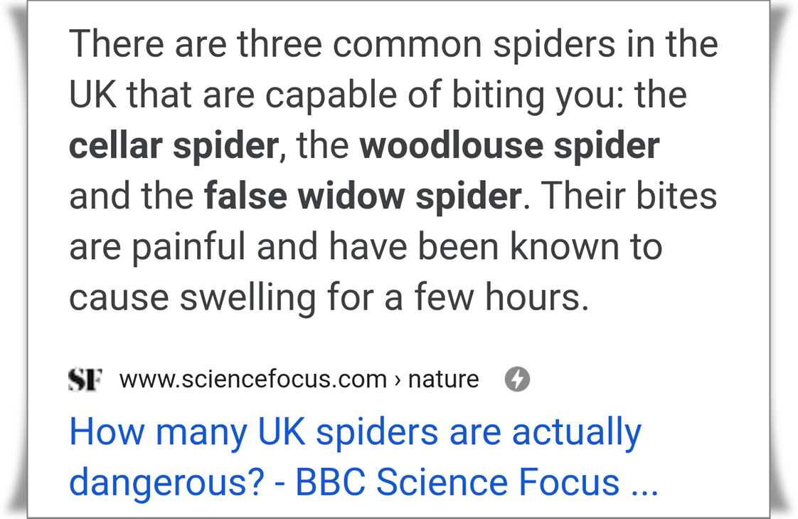 JJ's Photographic nature blog: The Curmudgeonly Old Bugger is born...