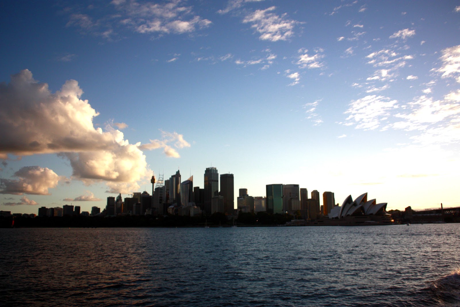 Lauren and Adri's Semester in Australia : P. Sherman, 42 Wallaby Way ...