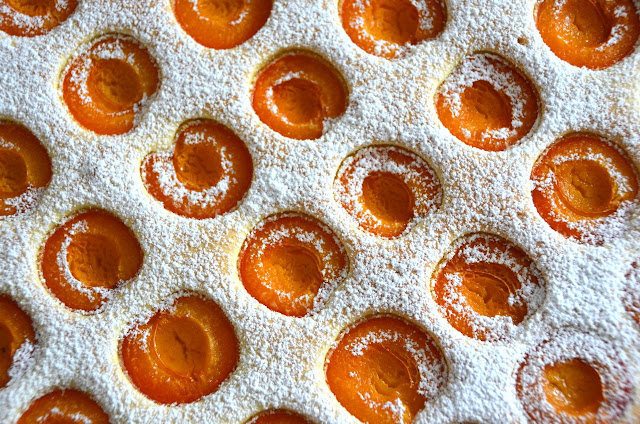 PIZZA FOR BREAKFAST: AUSTRIAN 'OBSTFLECK' - APRICOT TRAY BAKE