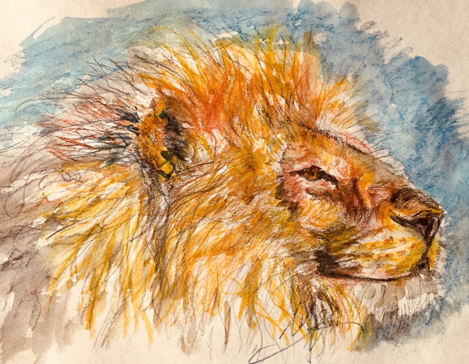 Paintings by Yvonne Keogh: Lion (Work in Progress)