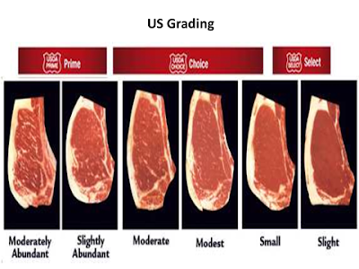 CHEF Q: Types of Meat You Should Know as A Chef