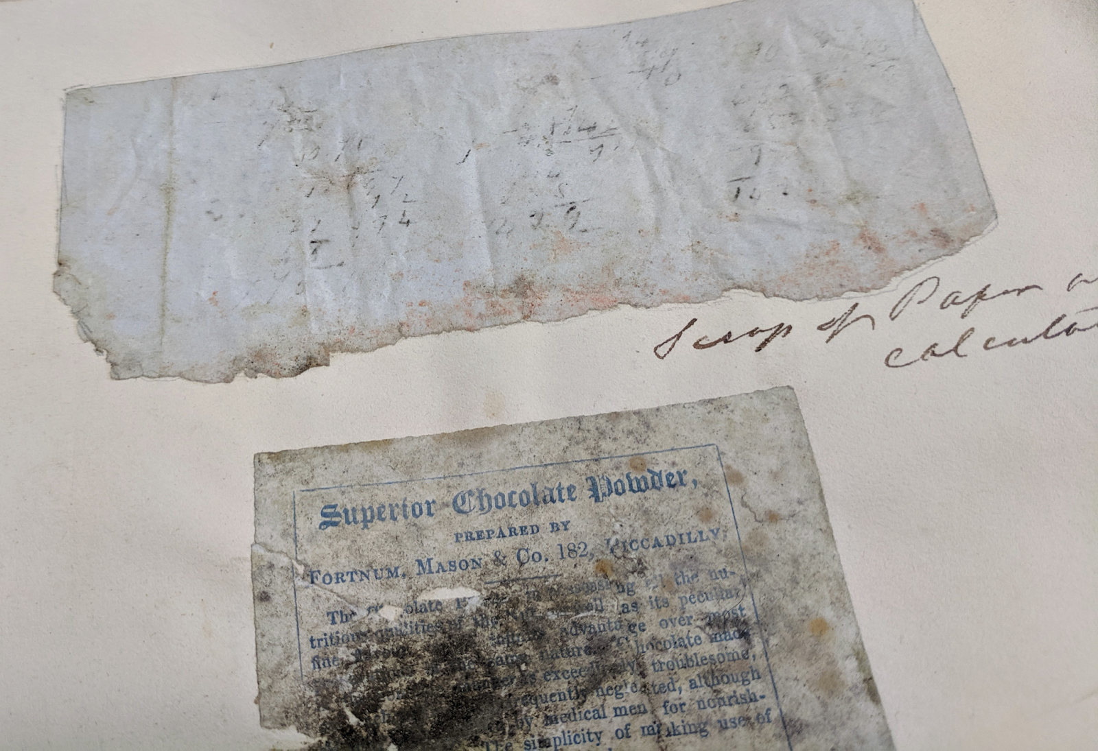 Cross Stitch Sewing & Fiber The Terror Peglar Papers Eye CROSS STITCH ...