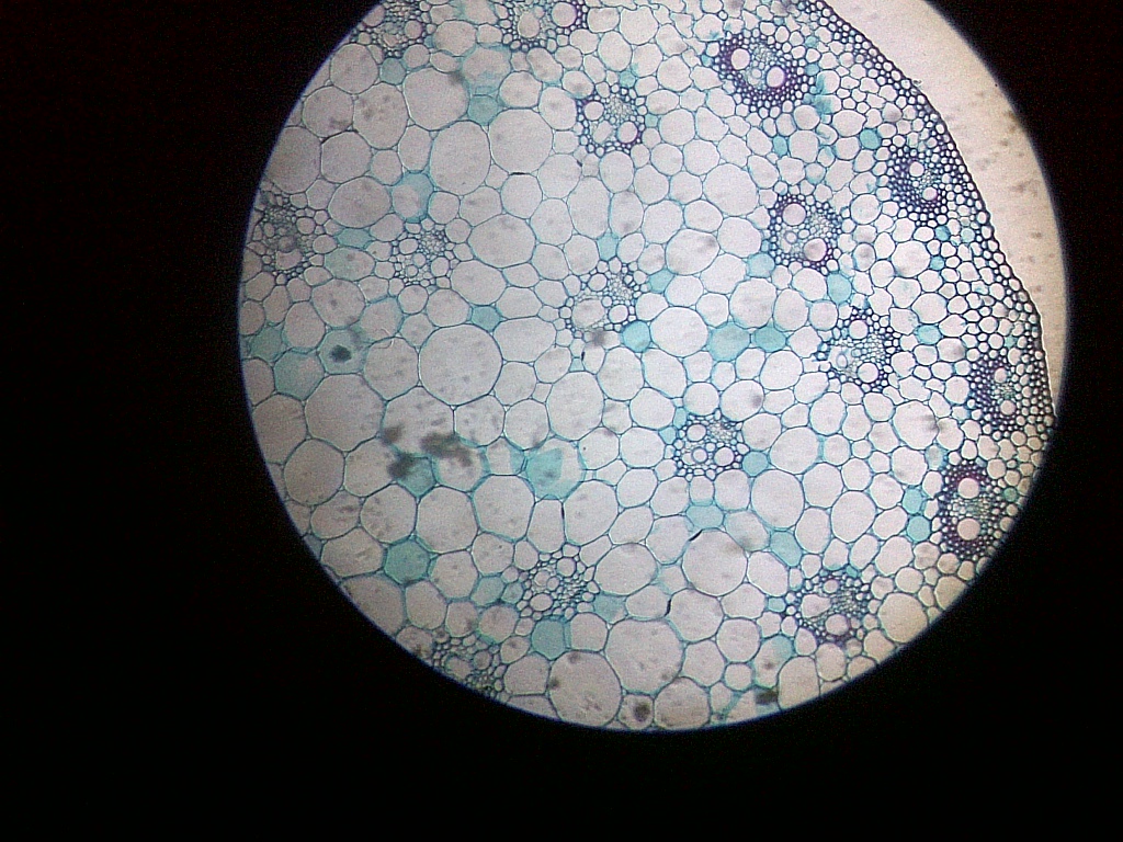 Sweet Times Of Our Life: Searching for some lights