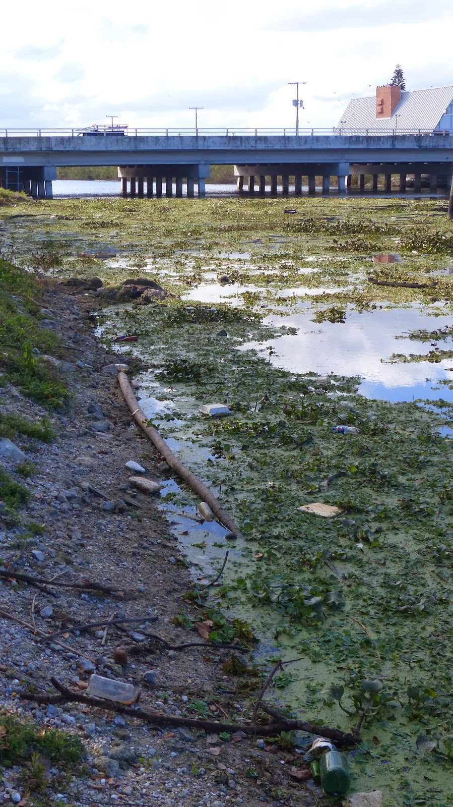Lake Worth Beach City Limits: Conditions at the C-51 Canal