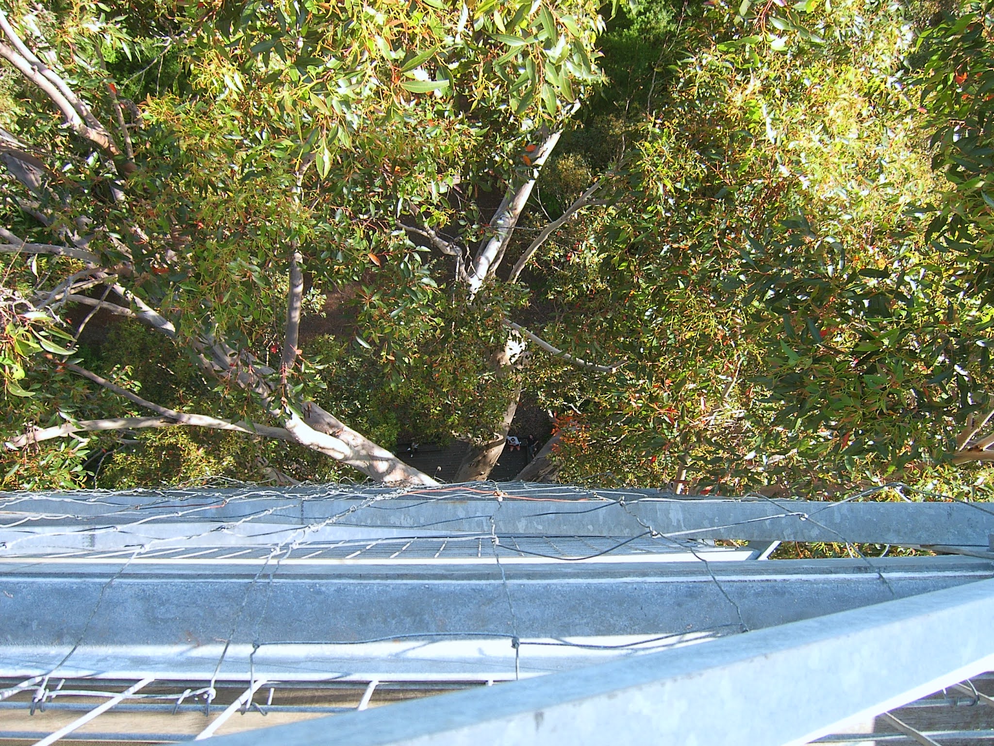 JonDent - Exploring Electronic Music: Pemberton WA - Fire Lookout ...