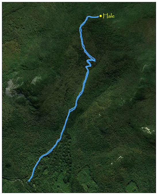 Hiking in the White Mountains: Boulder Loop / Church Pond / Hale