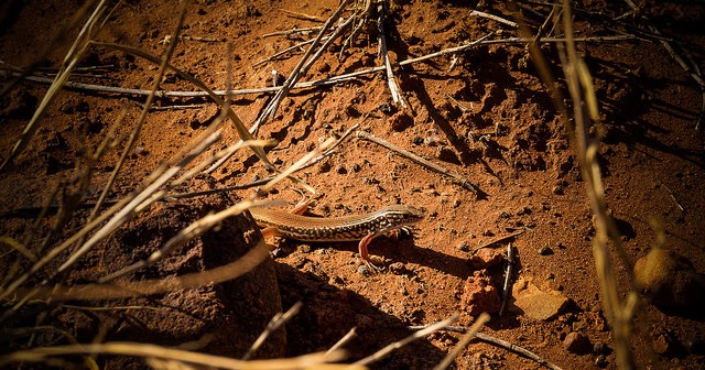 Jessica Cross ASMR: Guided Meditation - Magic