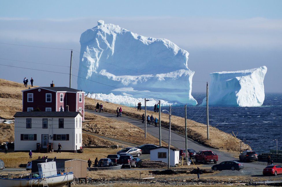reportages: Il primo iceberg della stagione passa da TERRANOVA (Canada)