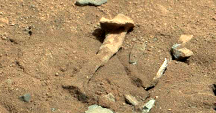 Leg Bone Found On Mars Near Curiosity Rover, Awesome Photo, NASA Link ...