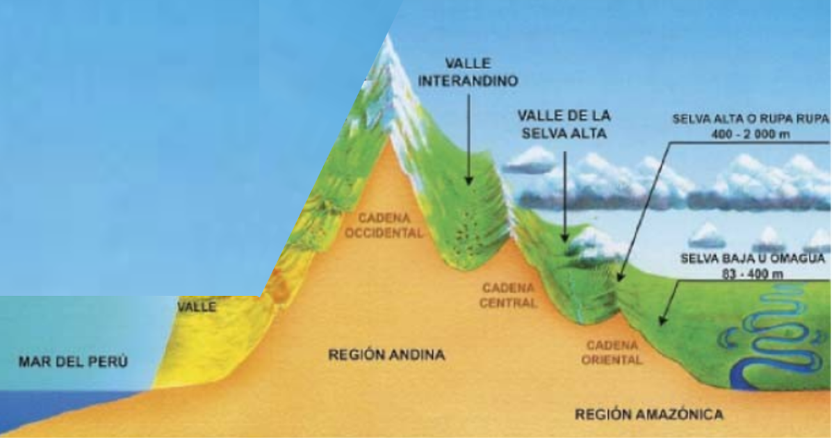 CyT Sexto: Selva Alta o Rupa Rupa y Selva Baja