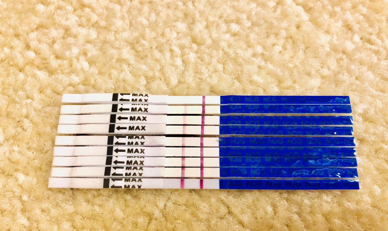 Life Unexpected: First Trimester: 2 Weeks After Conception - Pregnancy ...