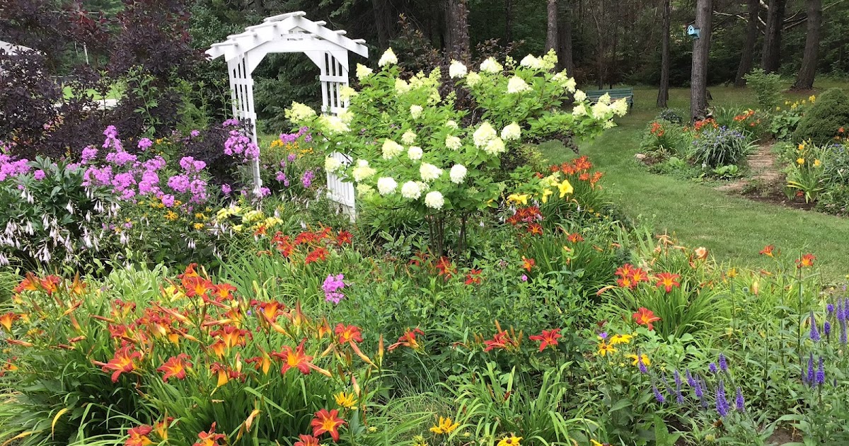 Perennial Passion: Close Up of Some Arbor Garden Plantings