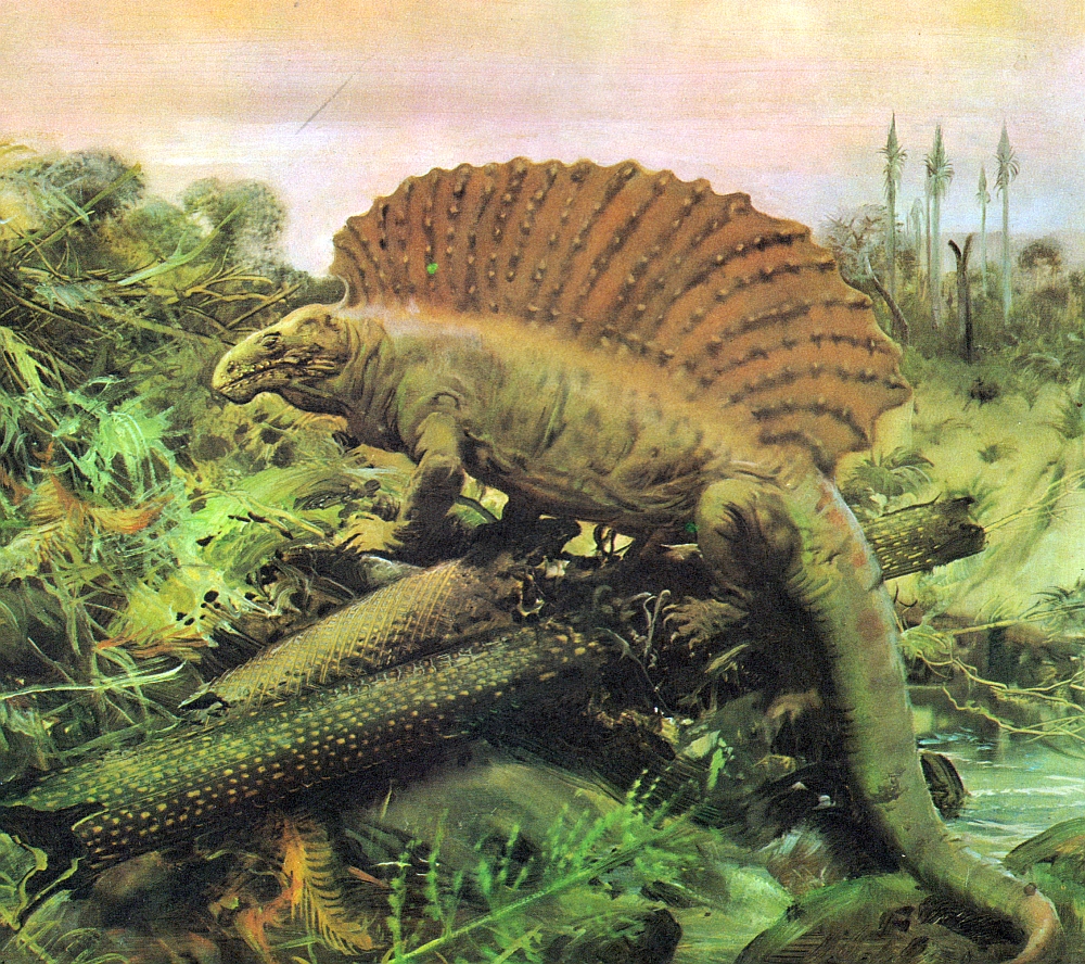 Love in the Time of Chasmosaurs: Vintage Dinosaur Art: Life before Man ...