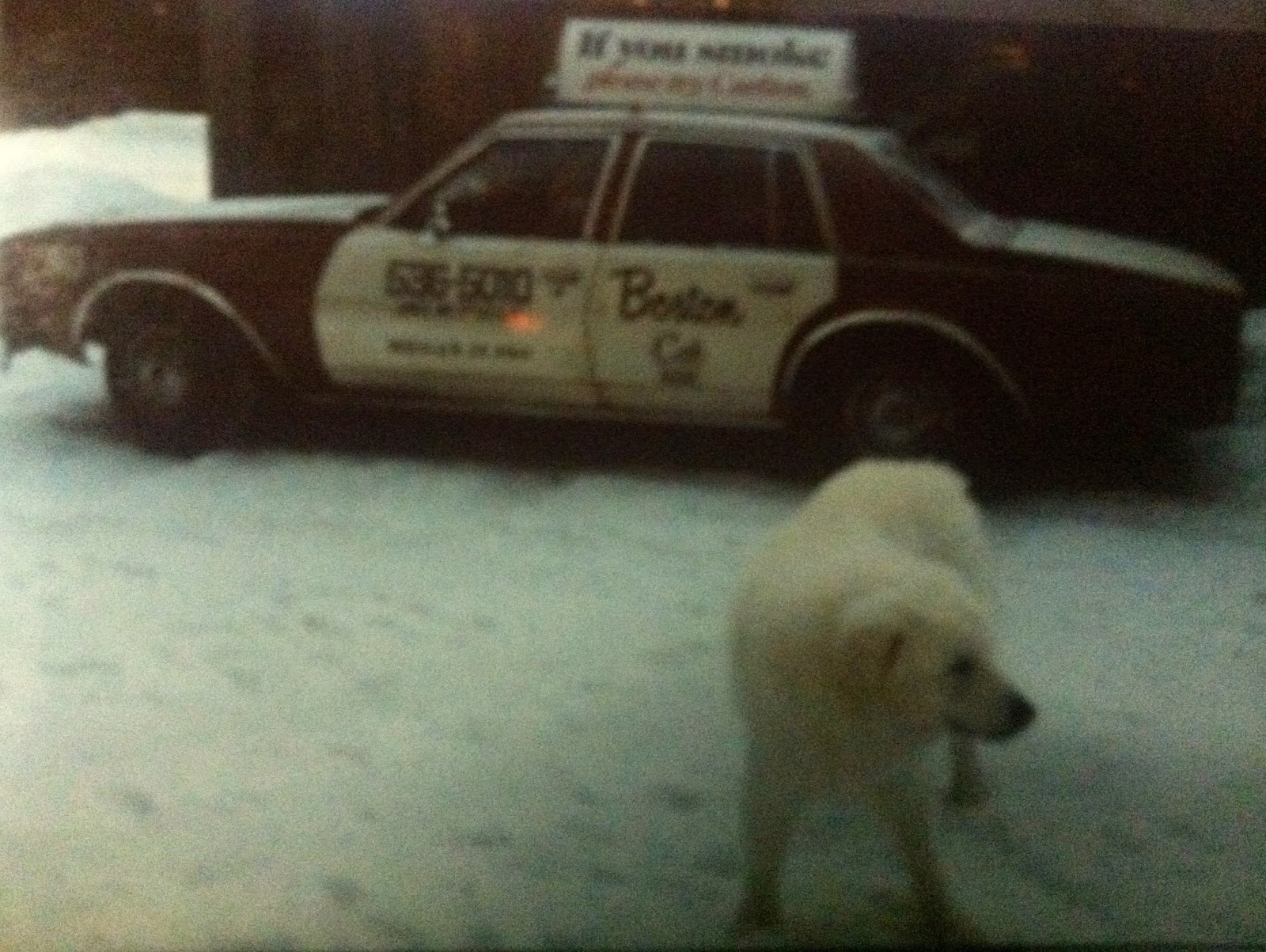 mangozeen: Dmitri Turin - Still On The Road