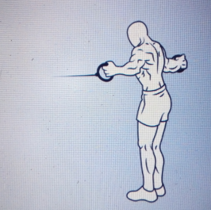 Back Flyes With Resistance Bands |back exercise - Gym And Fitness