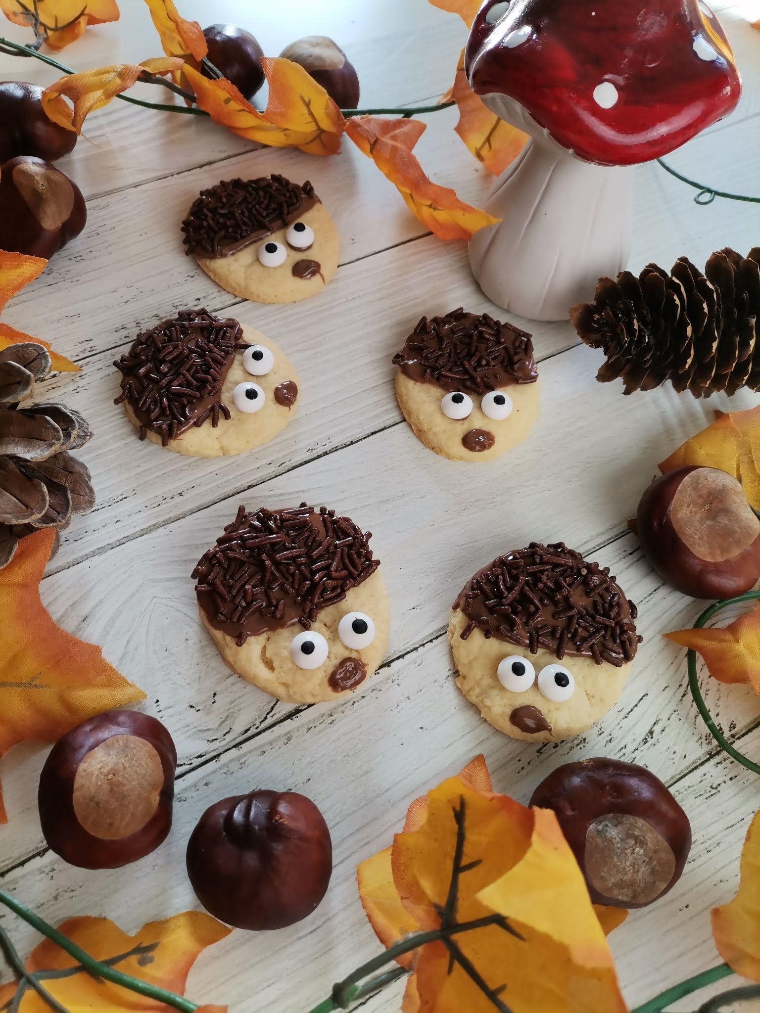 Familie und mehr : Backen mit Kindern: kleine Keks-Igel