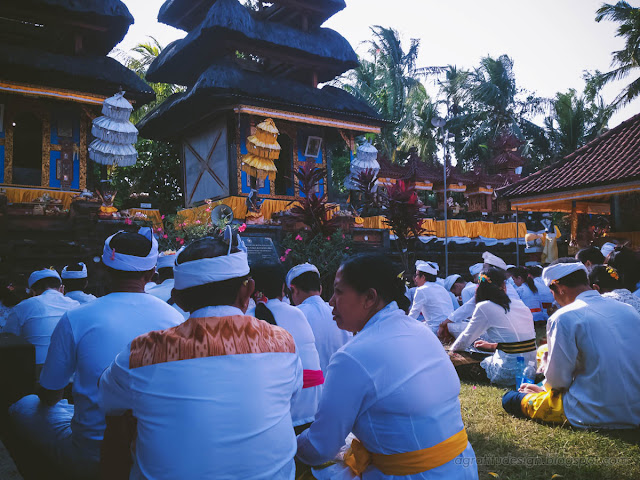 Agratitudesign Art and Nature Photography and Graphic Design ...