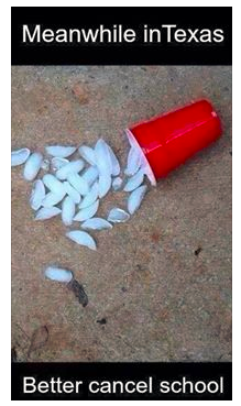 Wine Down with the Owens: Surviving the Austin Snowpocalypse