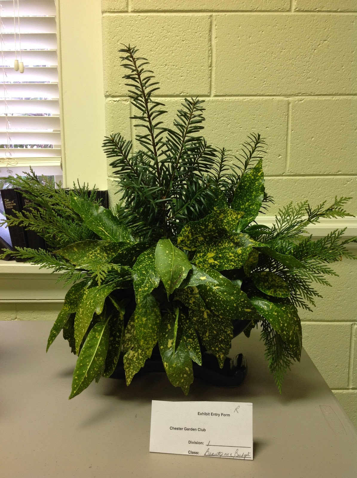 New Garden Club Journal: "Beauty on a Budget" an all foliage design