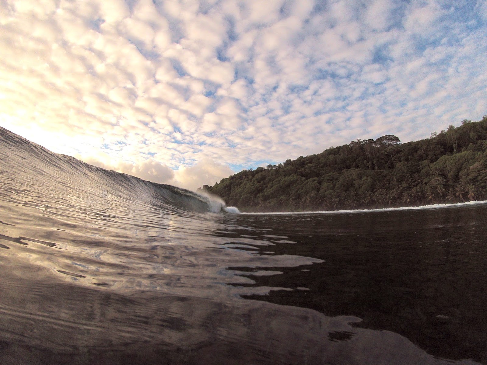 jacob stuth: Sunrise surf at Anse Parnel ~ Glass off east coast Seychelles