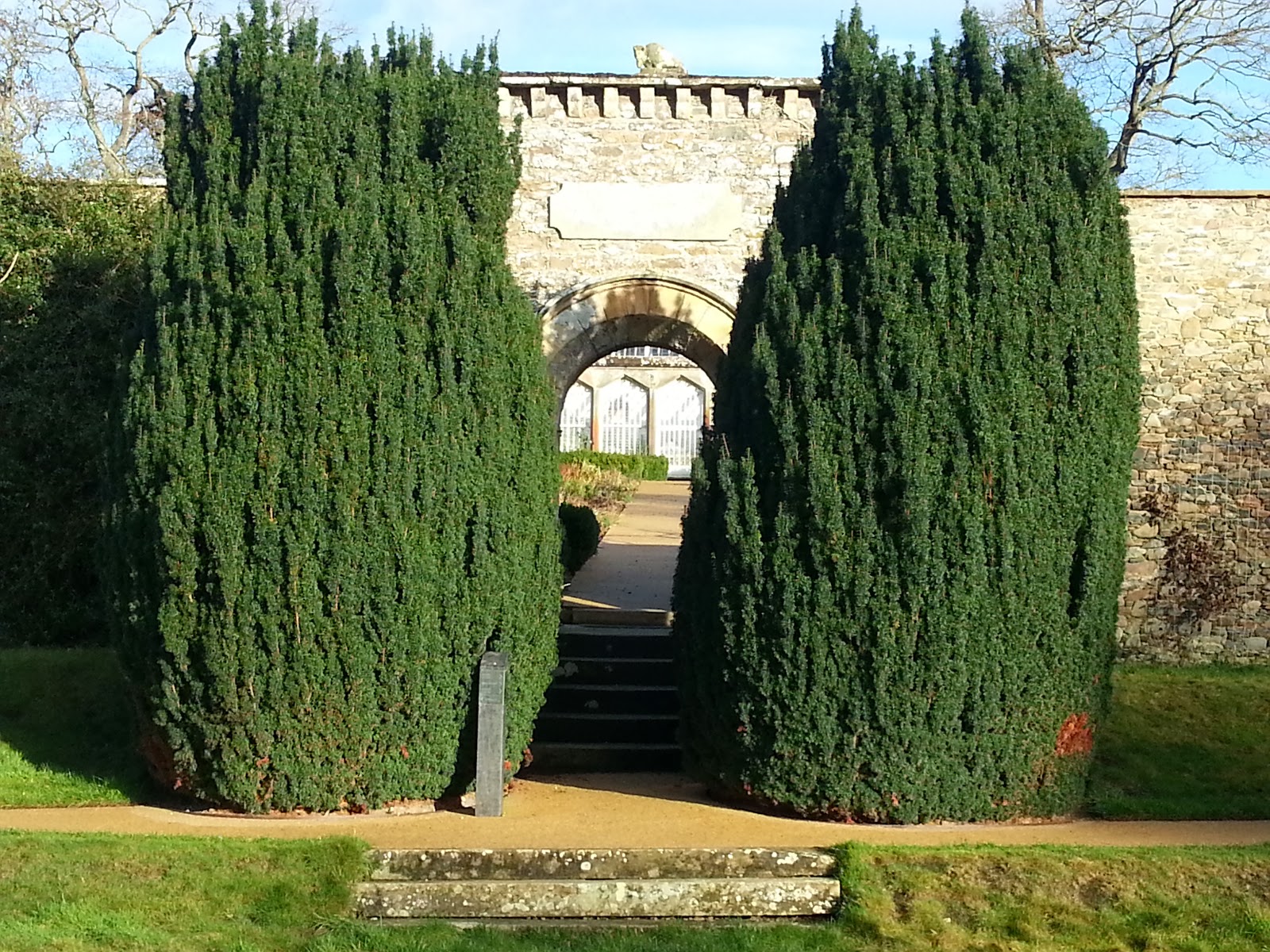 MEGARDENS....: The Yew Trees
