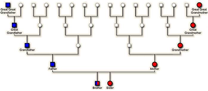 The Ultimate Family Historians: How to make matches with Mitochondrial ...