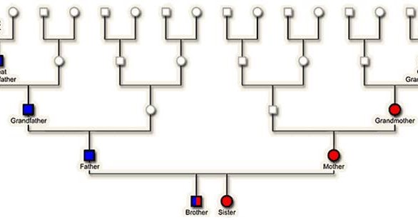 The Ultimate Family Historians: Getting more from Family Tree DNA ...